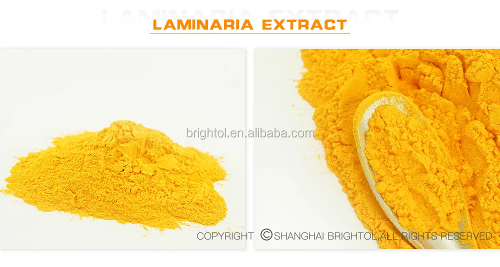 Natural Fucoxanthin 10% Kelp Extract Powder - Buy Fucoxanthin Powder ...