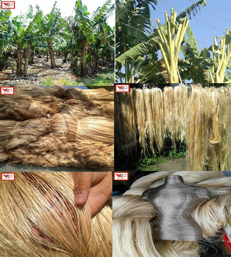 Banana Fiber Making Machine/ Fiber Processing Machine For Automatic ...