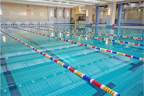 International Standard Swimming Pool Lane Rope,Pool Lane Line,Pool ...
