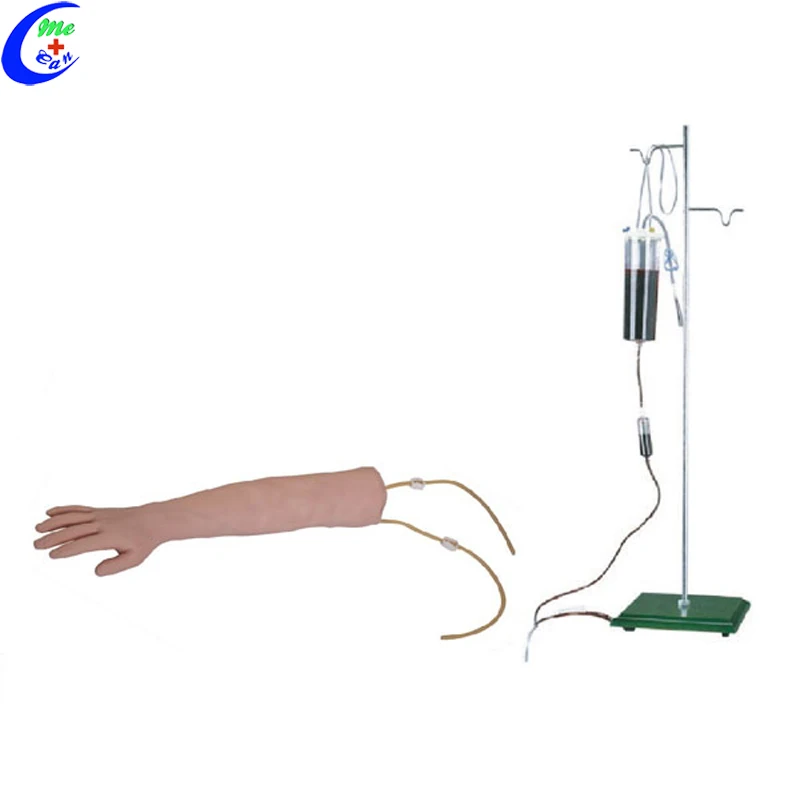 Venipuncture & Intramuscular Injection Arm Model Medical Iv Drip ...