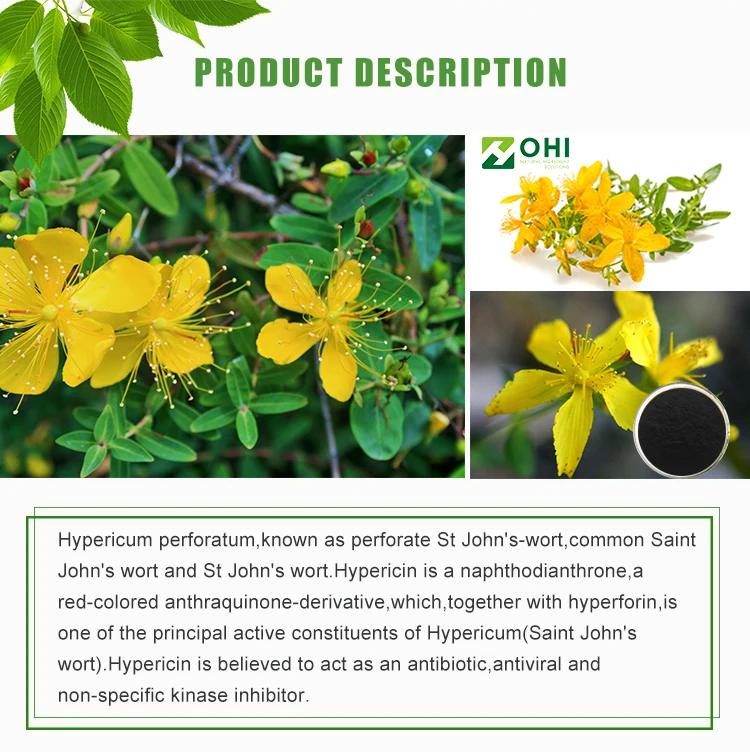 Natural St. John's Wort Extract Powder - Buy St.john's Wort Extract ...