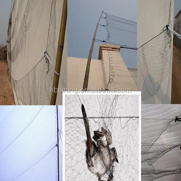 Live Bird Traps/nylon Bird Net Trap For Catch Bird Net - Buy Live Bird ...