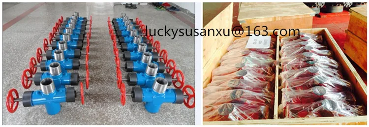 Api 1500psi 2 7/8'' Sucker Rod Blowout Preventer,Sucker Rod Bop - Buy ...