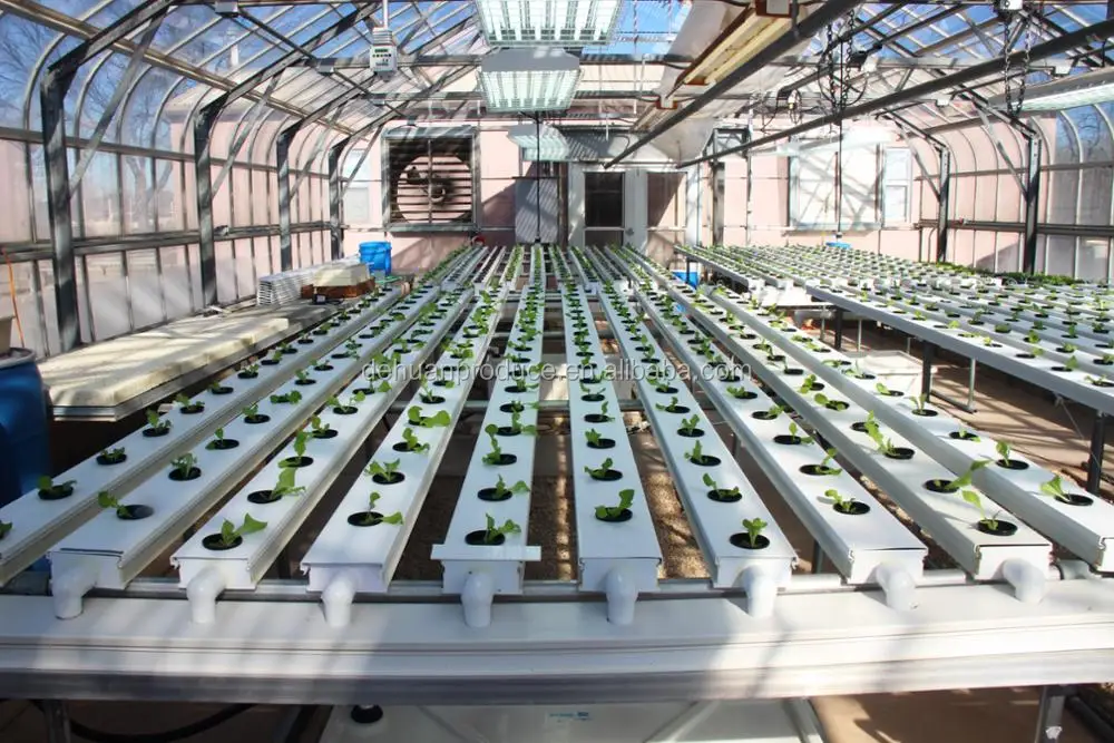 Hydroponic NFT Gully/gutter Grow System for Sale - Naturehydro