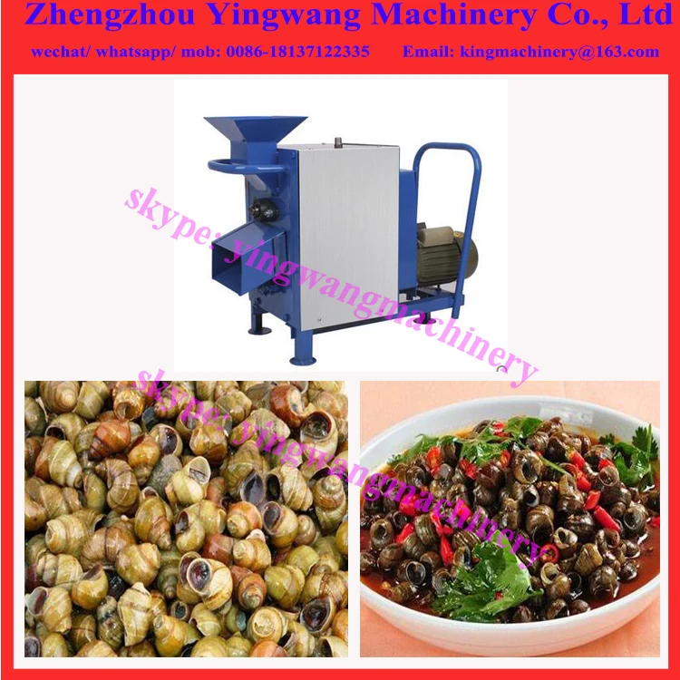 Field River Snail Tail Cutting Machine / Escargots Viviparus Winkles ...