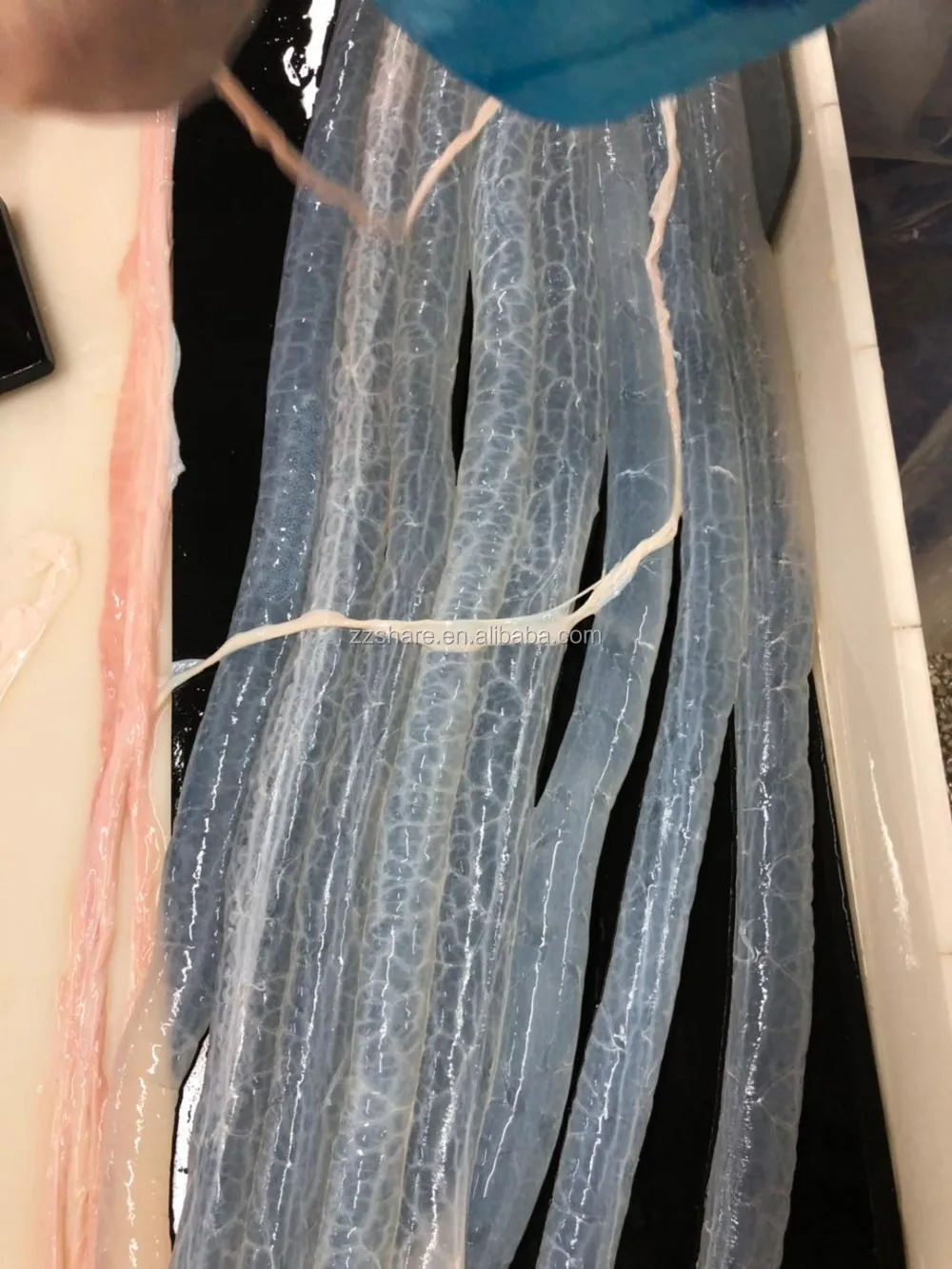 Pork Intestine Sausage Casing Cleaning Machine - ISO Certified