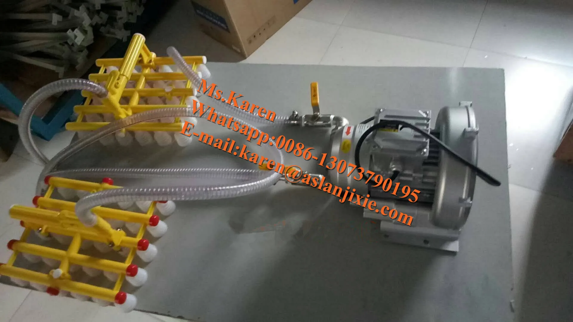 New Egg Weight Grader With Egg Lifter / Egg Grading Machine With Vacuum ...