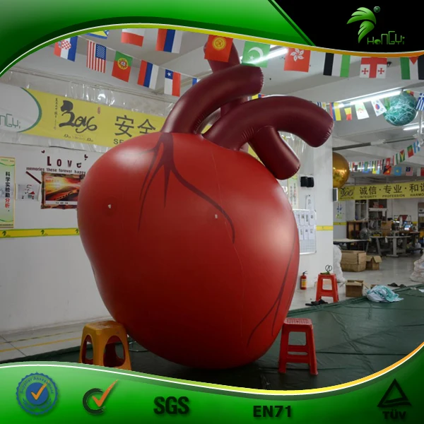Realistic Inflatable Human Red Real Heart Custom Inflatable Balloon ...