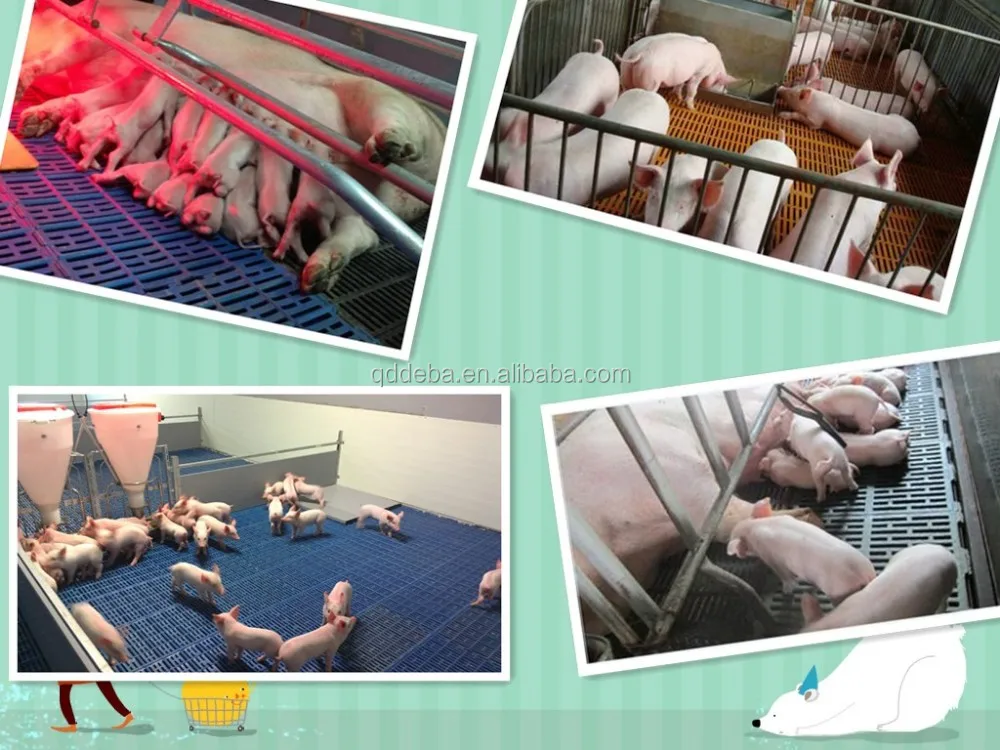 Durable Pig Flooring - Plastic Slat Solutions for Pigs