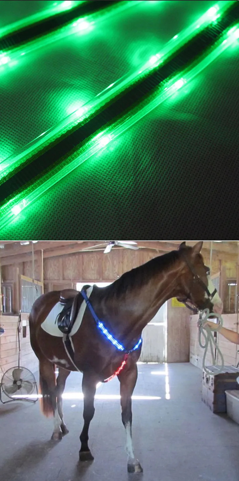 Colorful Hi-visibility Led Light Up Led Equine Breastplate For Horse ...