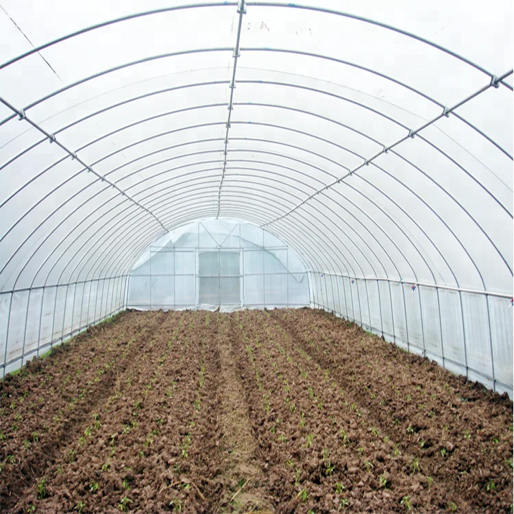 500 Square Meters Single Span Greenhouse for Agriculture