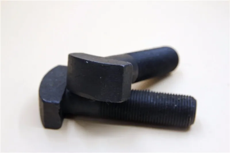 Iso9001 T40 Torx Swivel Bolt - Buy T40 Torx Bolt,Swivel Bolts,T Bolts ...