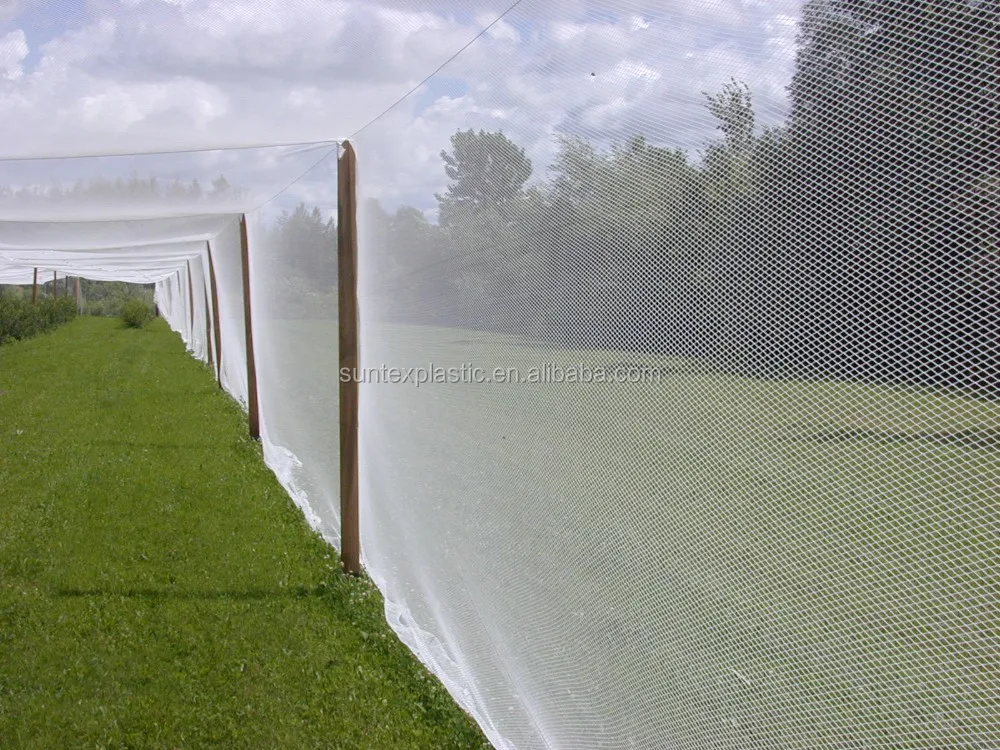 Hdpe Multifilament Netting Bird Protection Mesh/plastic Bird Screen ...