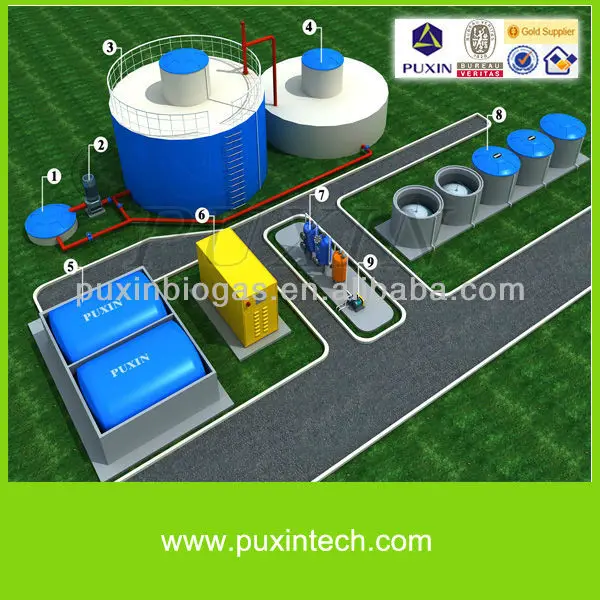 Chicken Farm Waste Treatment Biogas Digester Plant To Generate ...