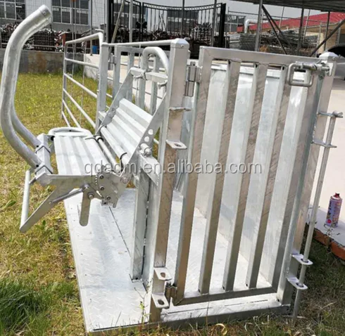 Sheep Turnover Crate - Customized Solutions for Livestock