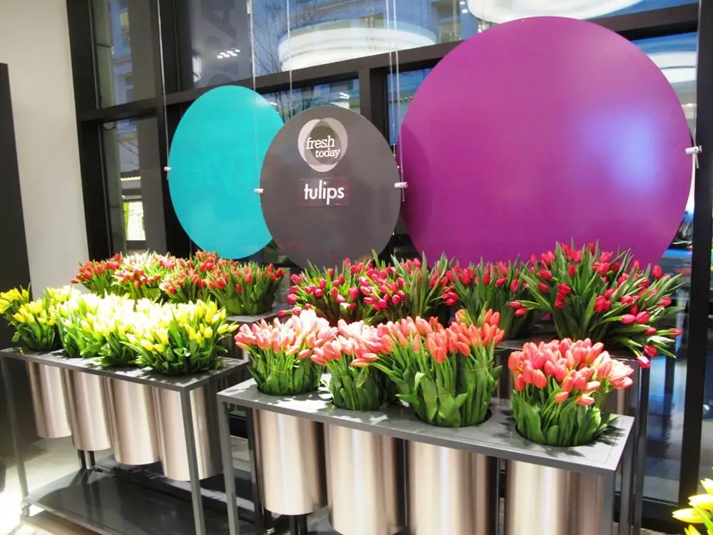 Metal Wire Floor Standing 4-layer Useful Cheap Merchandising Display ...