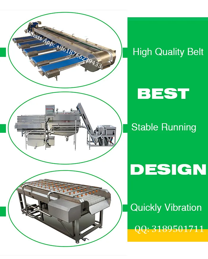Pear Lemon Fruits Processing Line - Efficient & Reliable