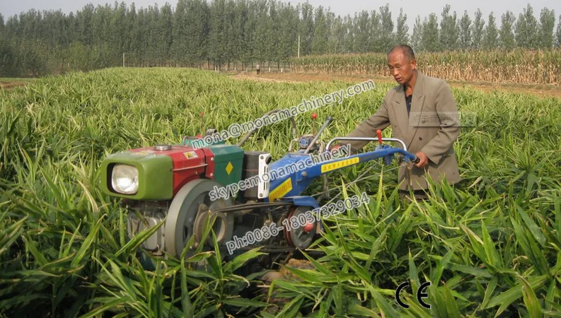 Mini Ginger Harvest Machine - Efficient Onion Ginger Harvester