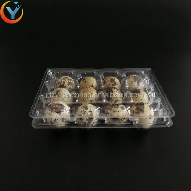 Clear Plastic Quail Egg Tray Quail Egg Cartons With 12 Holes Packing ...