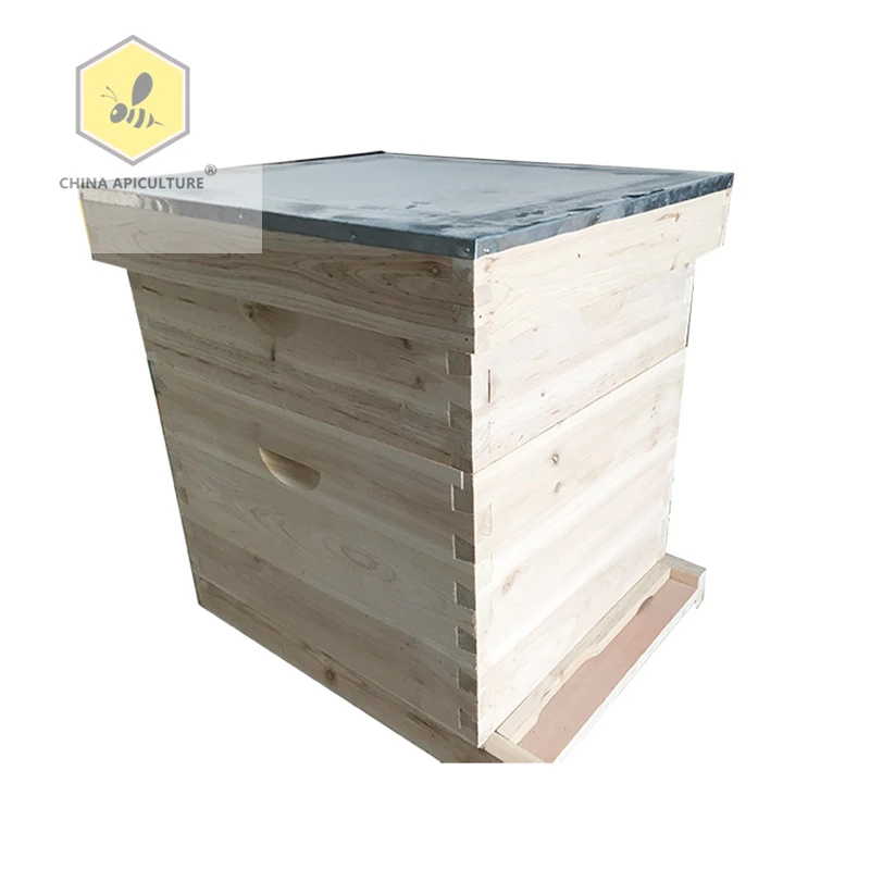 Dadant Bee Suits & Dadant Beehive - Quality Beekeeping Gear