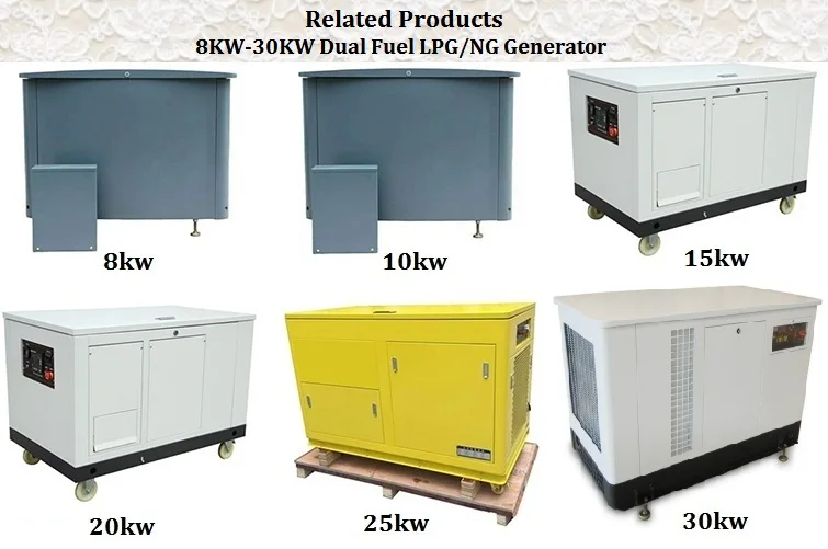 15kW LPG/Natural Gas Dual Fuel Generator 20kVA, OEM | Wholesale