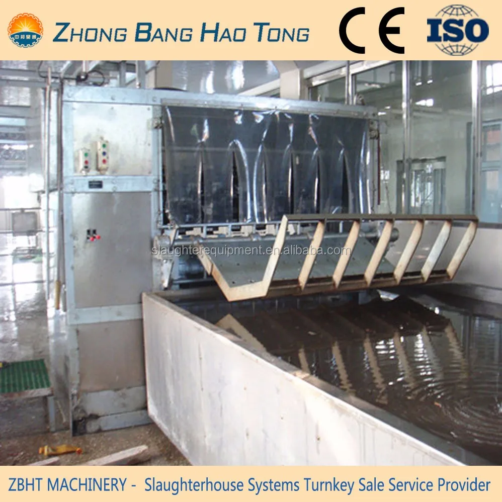 Pig Hair Removal Machine Used Together With Scalding Tank In Pig ...