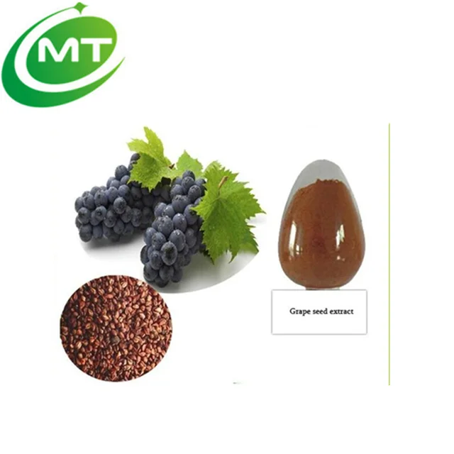 vitisvinifera-千图网