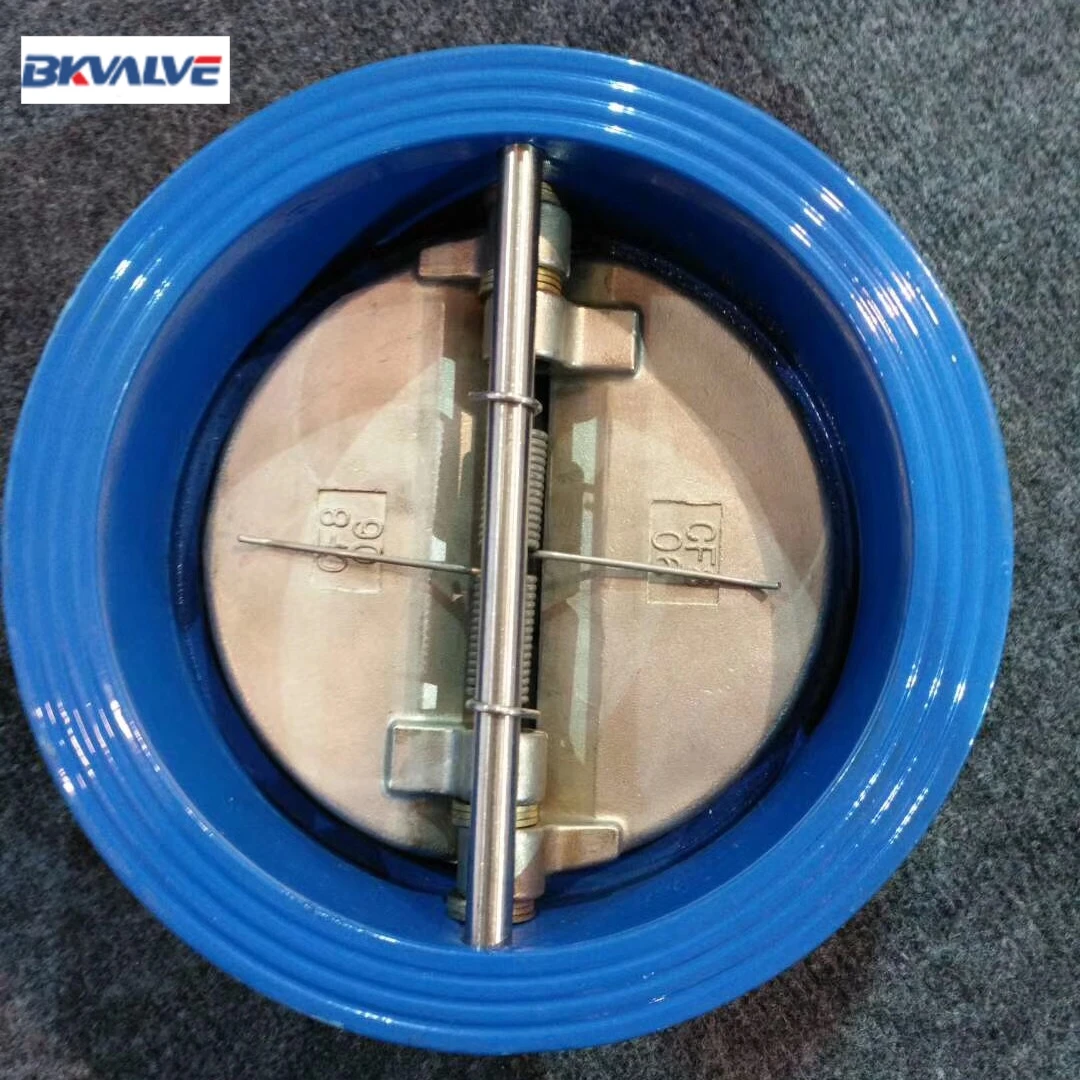 High Quality Cast Iron Check Valves for Water Systems