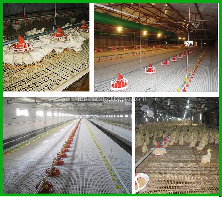 Broiler Poultry Farm Equipment Plastic Slatted Floor For Sale - Buy ...