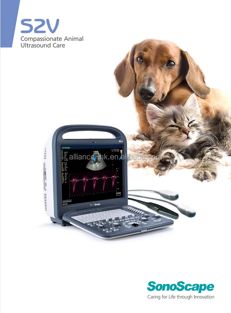 犬4d检查是哪四种,犬四合一检查是什么,4d猫粮是什么意思_大山谷图库
