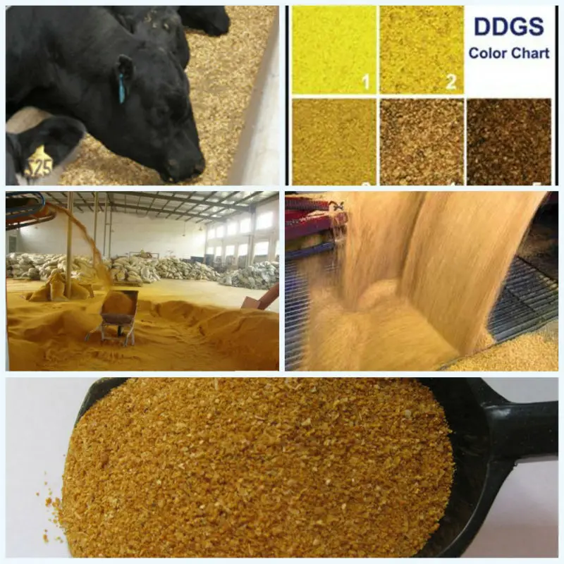 Corn Bran 18 For Animal Feed Grade - Buy Corn Bran,Corn Feed Grade,Corn ...