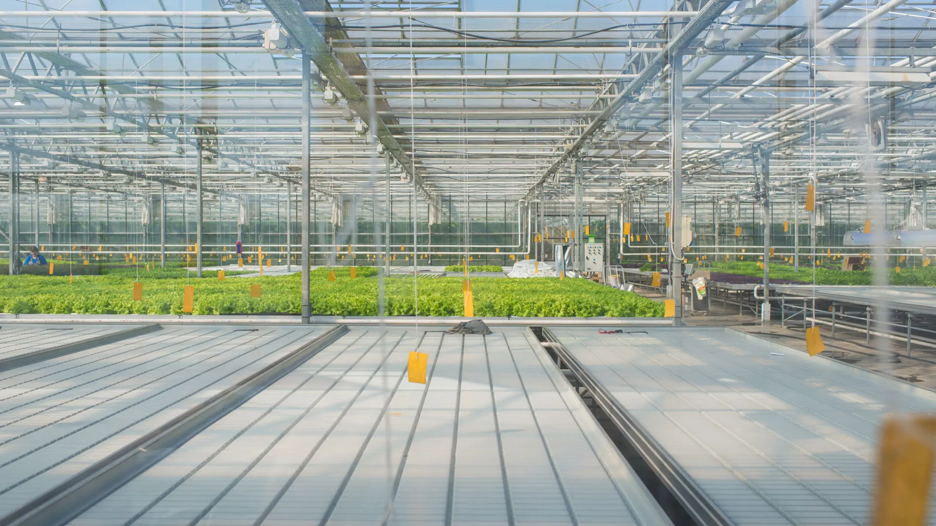 Vertical Farming Rolling Table Top Benches Commercial Growing ...