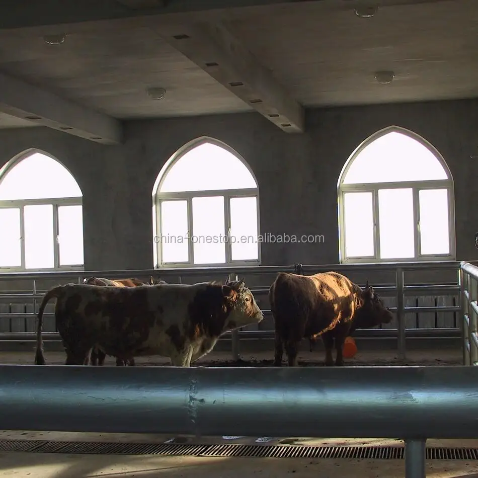 Cattle Hot Galvanized Steel Holding Pens for Slaughter House