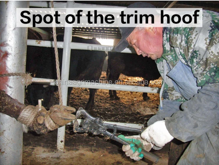 Cow Hoof Nipper - Efficient Trimming for Cattle & Horses