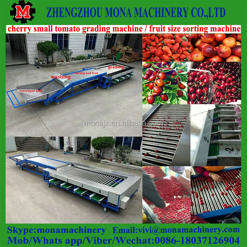Blueberry/strawberry Sorting Machine/grading Machine - Buy Strawberry Sorting Machine/grading ...
