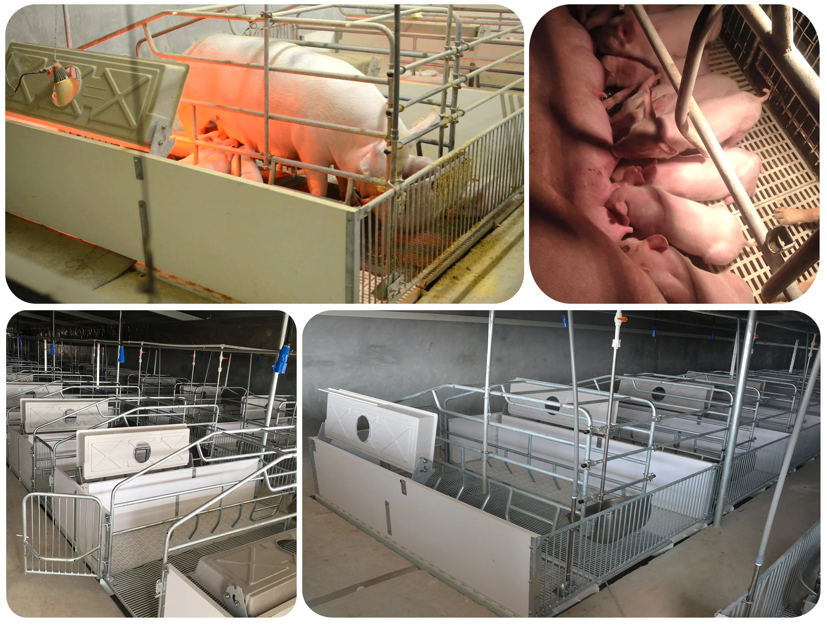Factory Direct Sale Farrowing Pen Design Of Farrowing Crate For Sale In ...