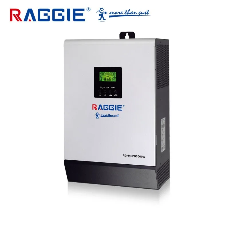 RAGGIE 5KW Hybrid Solar Inverter with MPPT Charge Controller