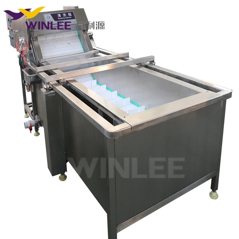 Industrial Fruit Washer - Efficient & Durable Solutions