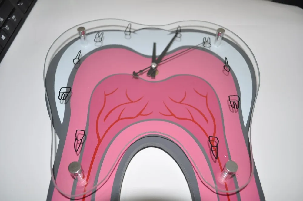 Dental Clock Tooth Shape Wall Clock With Nerve - Buy Wall Clock For ...