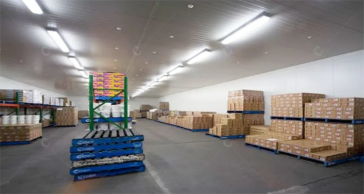 Deep Temperature Poultry Cold Room 100ton Cold Storage Indoor Unit For ...