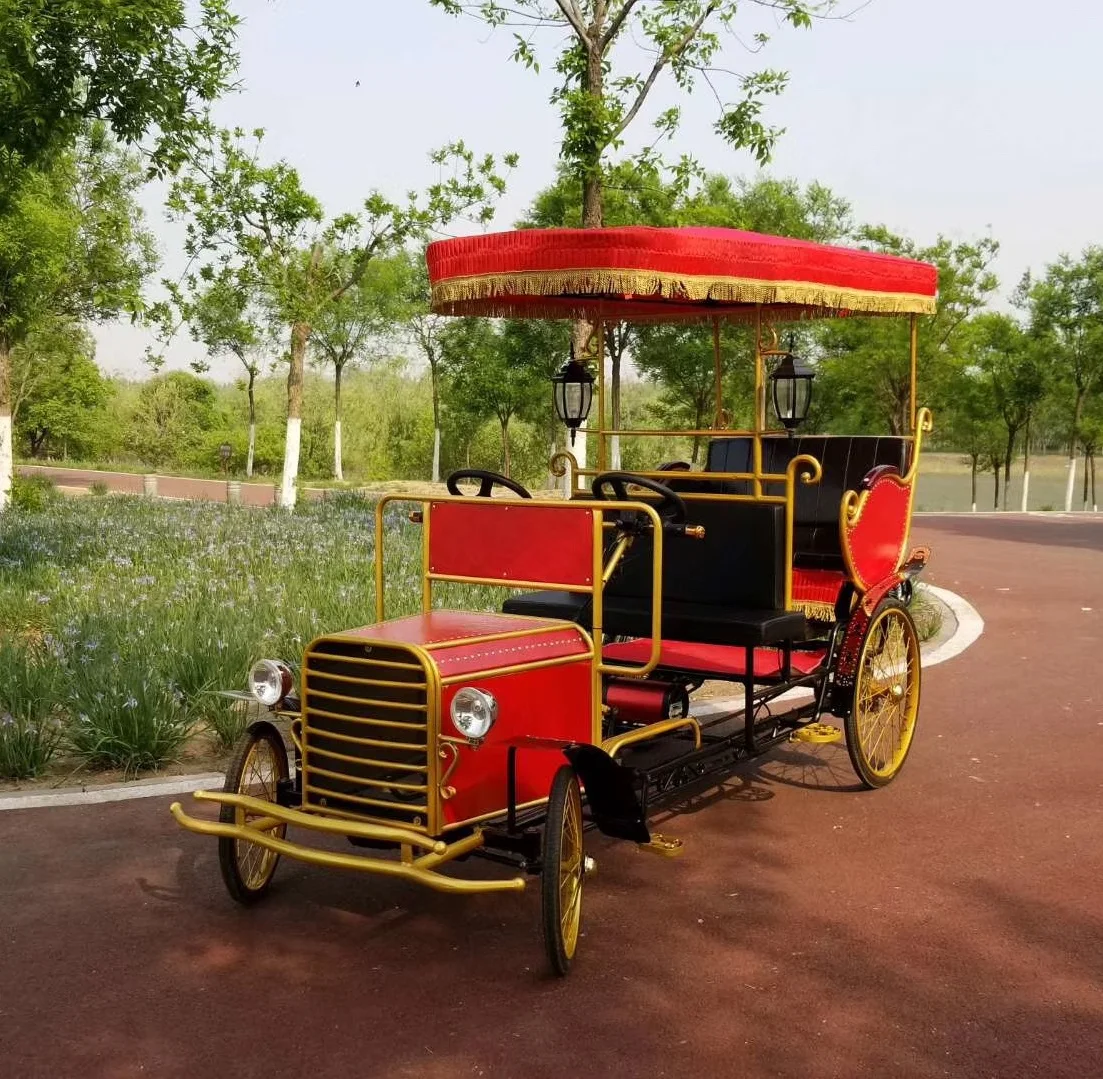 Luxury 4 Seater Surrey Bike with Awning – Steel Frame