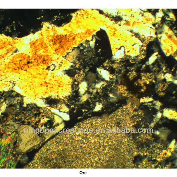 40X-600X Polarizing Microscope for Geological Applications