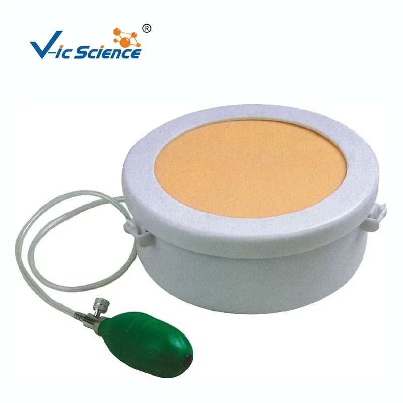 Surgical Abdominal Cutting And Suturing Simulator For Medical Clinic ...