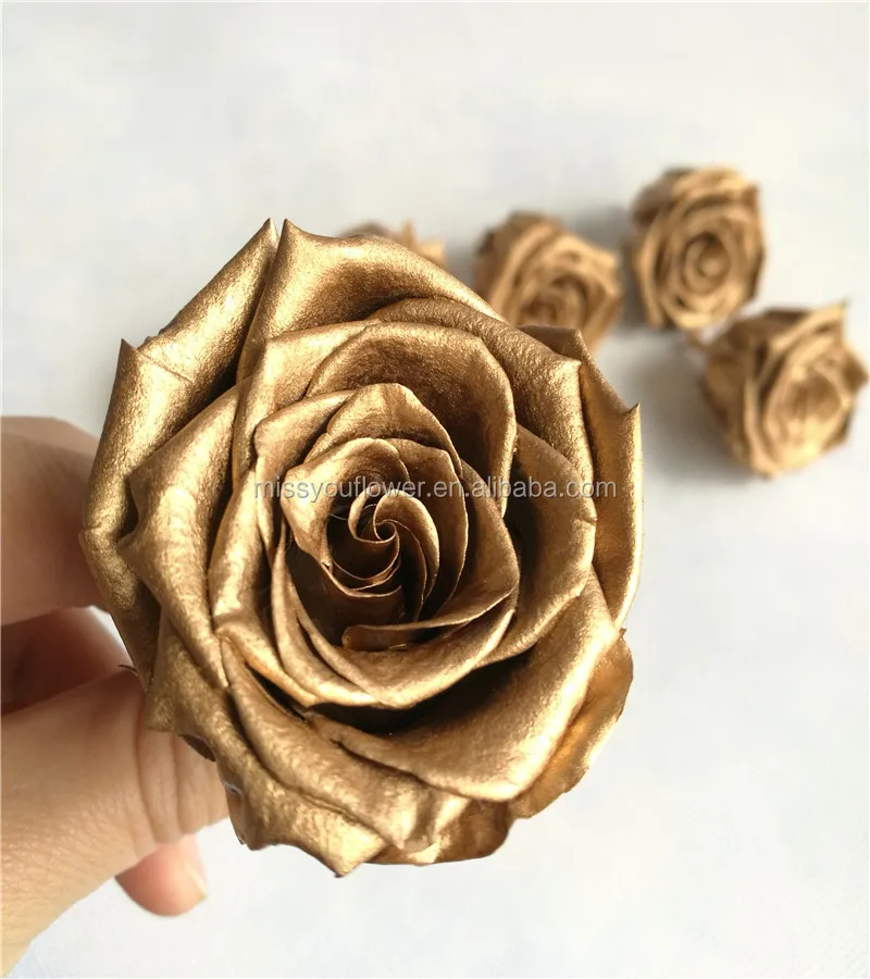 Gold Color Roses Natural Preserved Roses 4-5cm Long Lasting Roses From ...