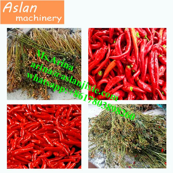 Hot Chili Pepper Picking Machine - High Productivity Harvester