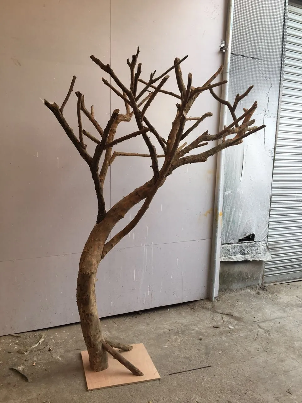 Faux Arbre Sec Artificiel Artificiel De Haute Qualité Sur Mesure Sans ...