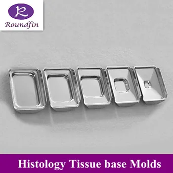 Basic Tissue Orientation And Paraffin Embedding Technique - Buy Basic ...