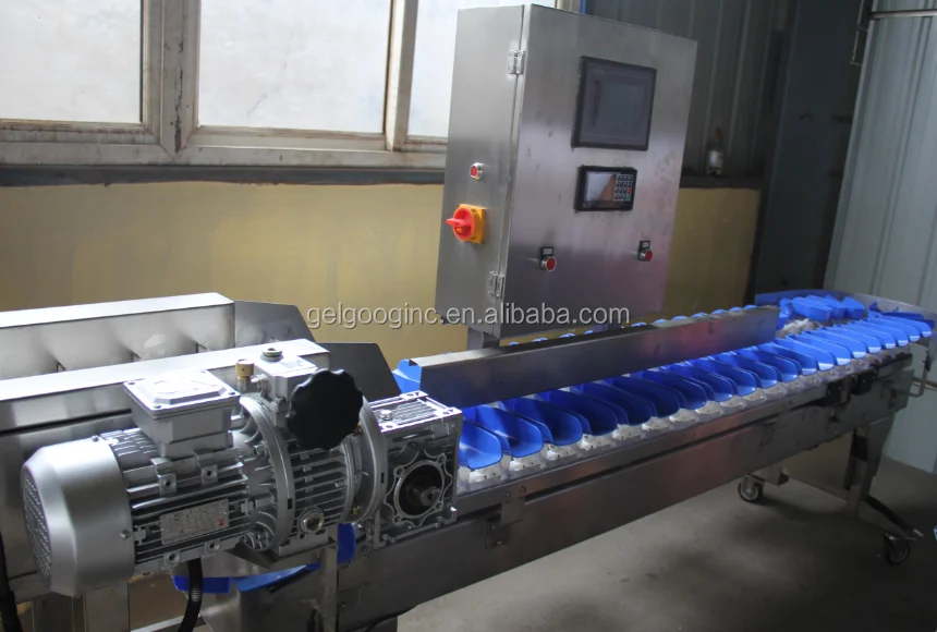 Onion Sorting Grading Machine Sorter Cherry - Buy Onion Sorting Machine ...