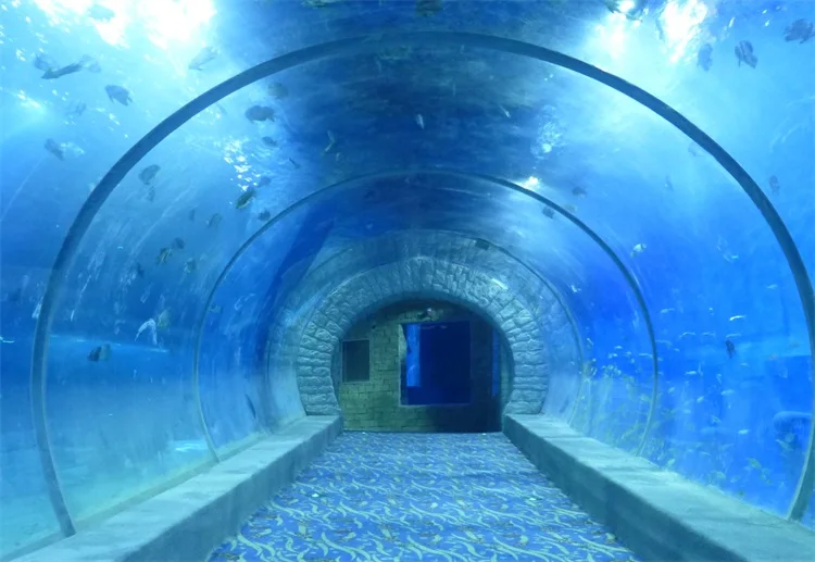 Customized Acrylic Aquarium Tunnel - Durable & Sustainable