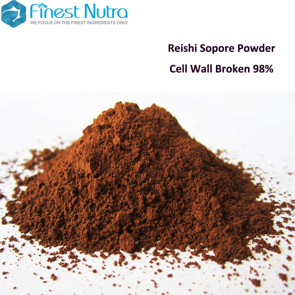 Best Selling Cell Wall Broken Reishi Spore Powder - 2 Year Shelf Life